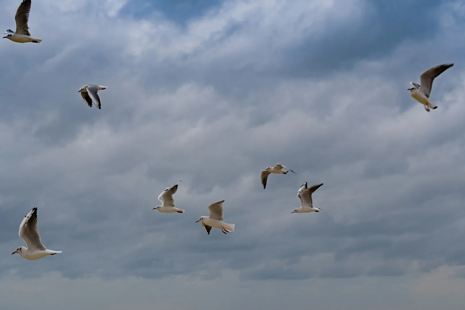 Space & Aviation Insights | Aeroway.one